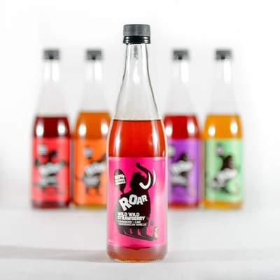 Roar Natural Cordial Wild Strawberry 500ml – My Home Pantry