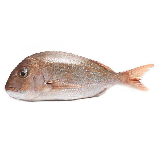Baby Snapper approx 600g – My Home Pantry